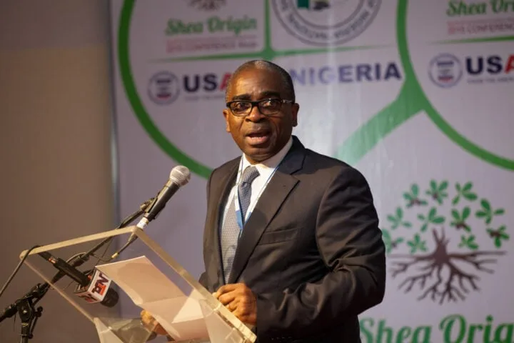 Segun Awolowo Dies At 62: A Look At His Life | LN247